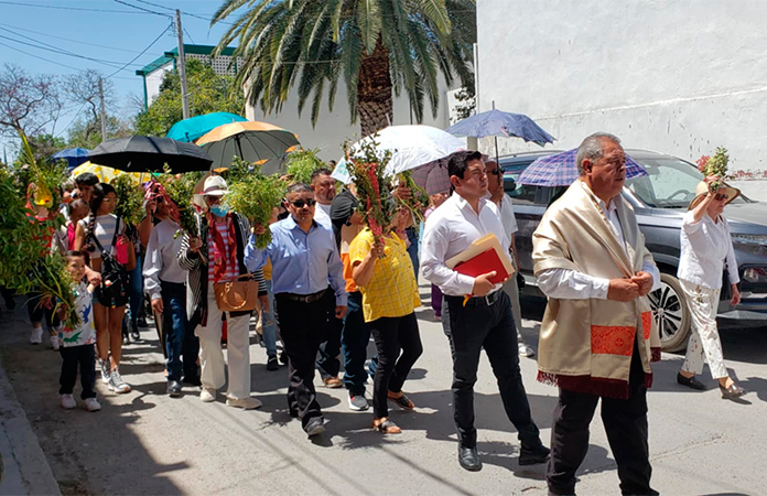 Celebra iglesia católica el Domingo de Ramos › San Luis Hoy