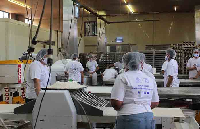 SLP reporta pérdida de fuentes de empleo › San Luis Hoy