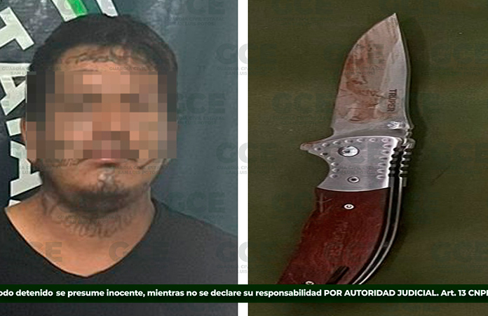 Hombre le quita la vida a perro con una navaja › San Luis Hoy