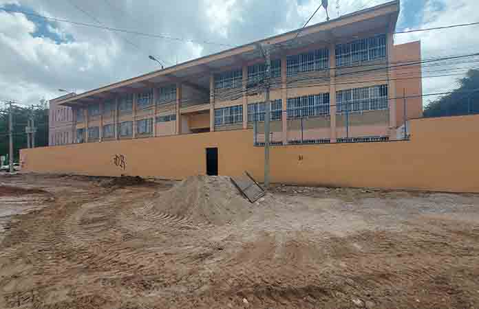 Quejas por tala de árboles en la colonia Burócratas › San Luis Hoy
