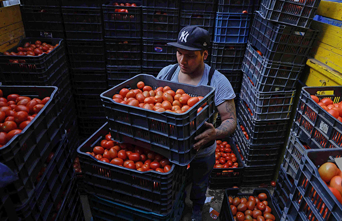 Llueve sobre mojado para los jitomateros › San Luis Hoy